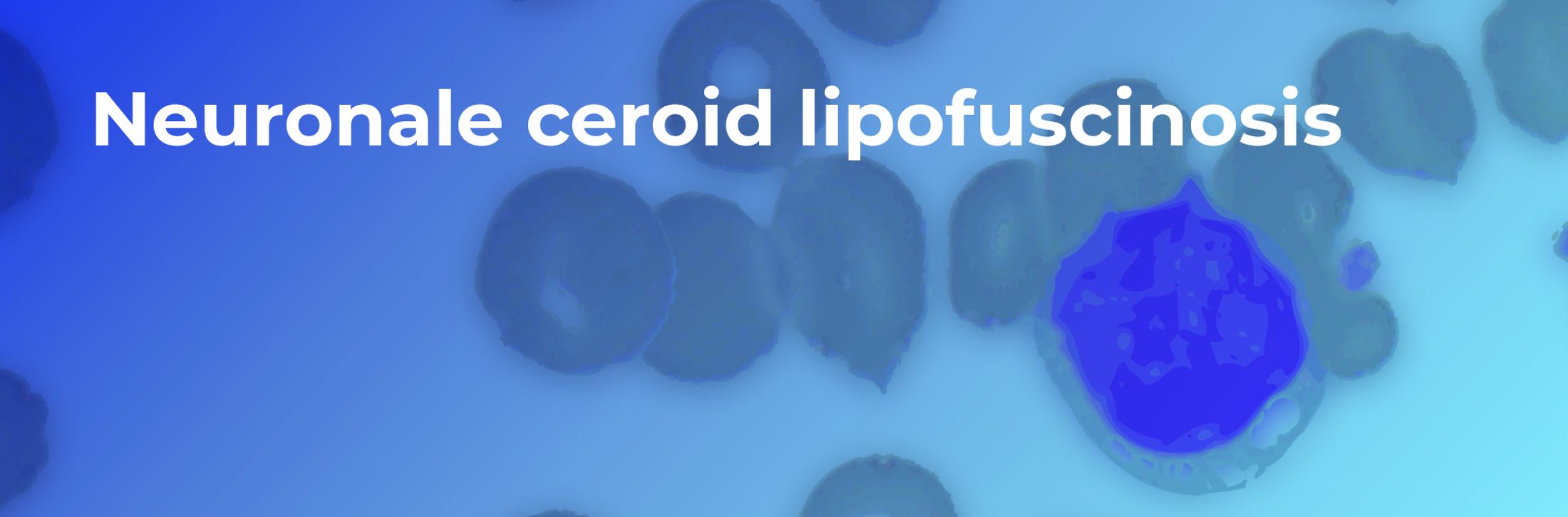 Neuronale ceroid lipofuscinosis - Centrum voor Lysosomale en Metabole ...